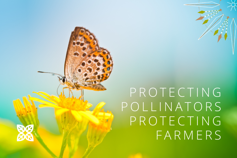Protecting Pollinators, Protecting Farmers - EcoGather